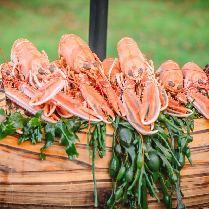 MLC Training - Ship’s Cook Competency Course - Entier